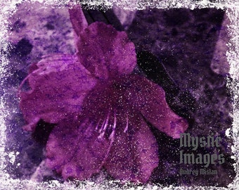 Flower background | Etsy