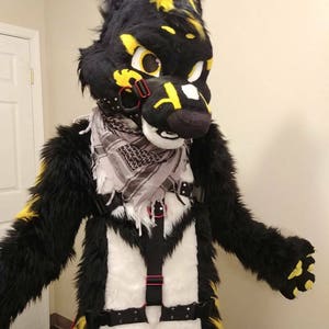 Custom fursuit | Etsy