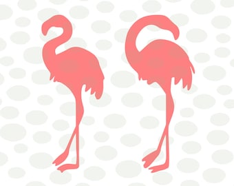 Flamingo svg | Etsy