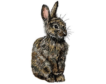 Rabbit illustration | Etsy