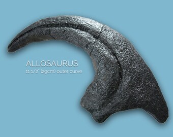 Allosaurus | Etsy