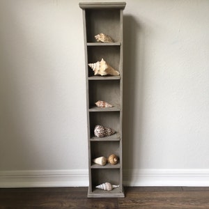 Seashell display box | Etsy