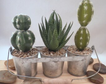 Cactus arrangement | Etsy