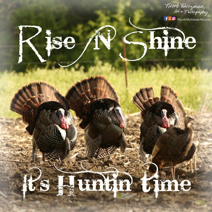 Turkey Hunting Sayings