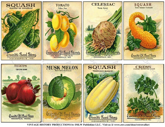 Antique Vegetable Seed Packets Printed Sheet Vintage Seed