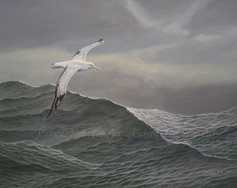 Albatross art | Etsy
