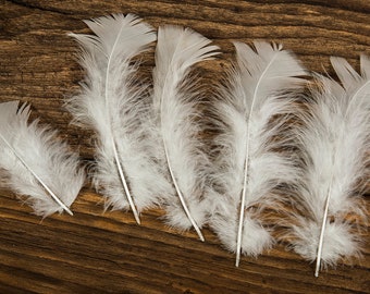 Real bird feathers | Etsy