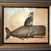 Cat Riding Whale Abyssinian Cat Riding Whale Vintage