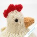 Knitting Pattern PDF. Knit Your Own Mother Hen.