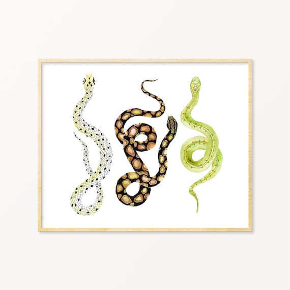 Watercolor Snakes Art Print. Green Snake Painting. Nature Wall
