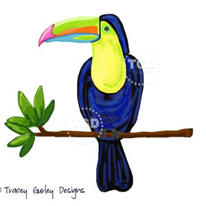 Toucan clipart | Etsy