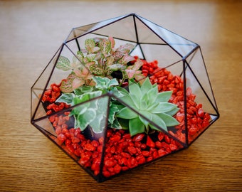 Geometric terrarium | Etsy