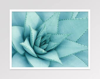 Cactus poster | Etsy