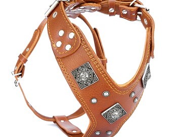 Bestia™ genuine leather Gladiator harness. Spikes