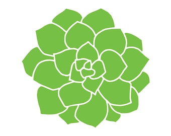 Succulent svg | Etsy