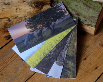 Print. Comfort in Quilting.