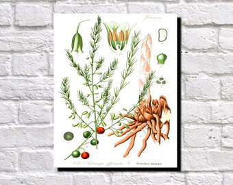 Botanical poster | Etsy