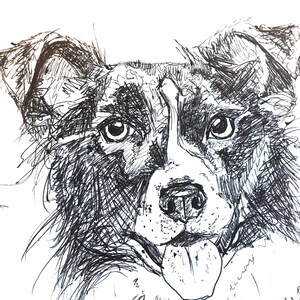 Custom pet drawing | Etsy