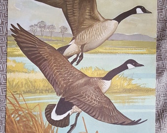 Geese art | Etsy
