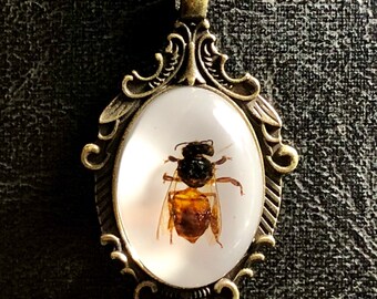 Insect in resin | Etsy