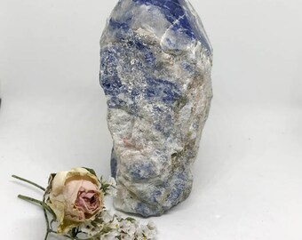 Turquoise Howlite Earrings Truth Stone. Handmade Earrings.