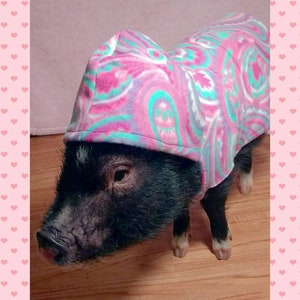 Mini pig clothes | Etsy