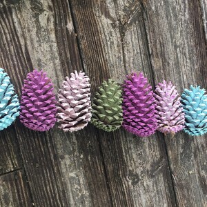 Painted pine cones | Etsy