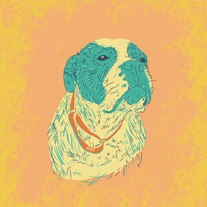 Custom pet drawing | Etsy