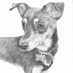 Custom pet drawing | Etsy