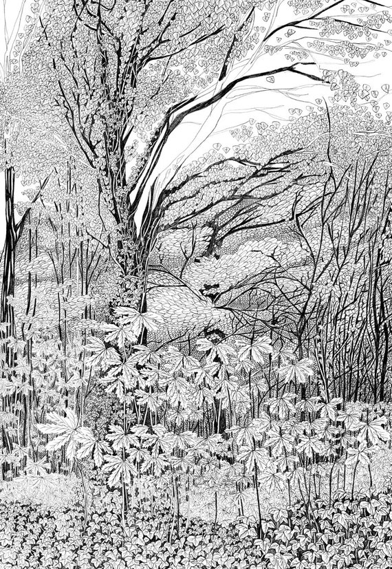 Tree drawing Archival Art Print woodland print tree