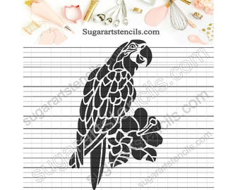 Parrot stencil | Etsy