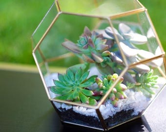 Geometric terrarium | Etsy