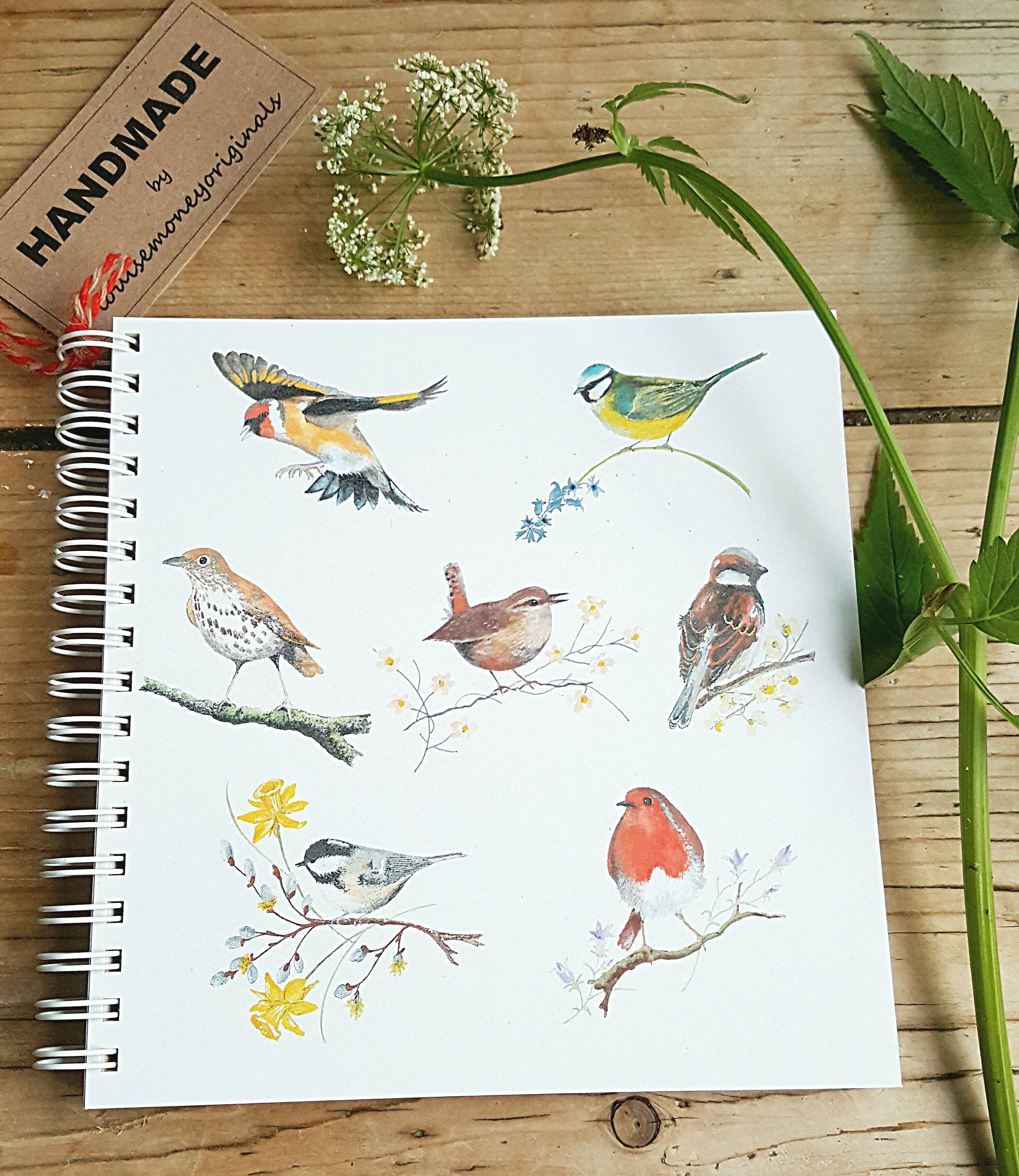 Bird notebook. British bird notebook. Hand made. Originally