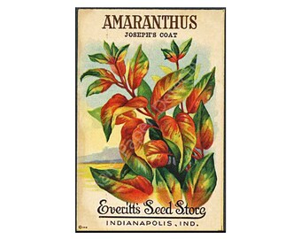 Seed packet sticker | Etsy