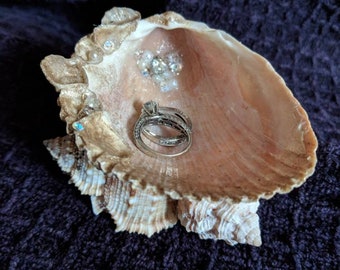 Seashell ring holder | Etsy