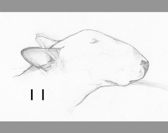 English Bull Terrier Line Drawing Print to frame