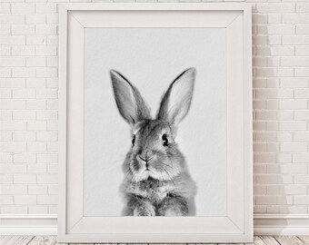 Rabbit print | Etsy