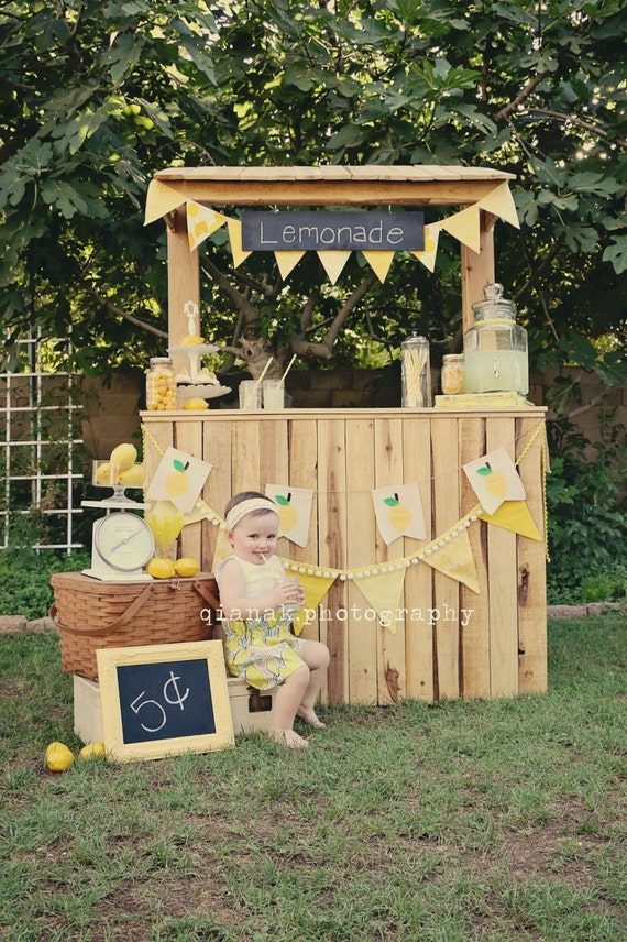 Lemon Banner Lemonade stand Banner canvas lemonade stand