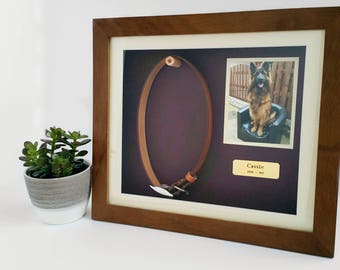 Pet shadow box | Etsy