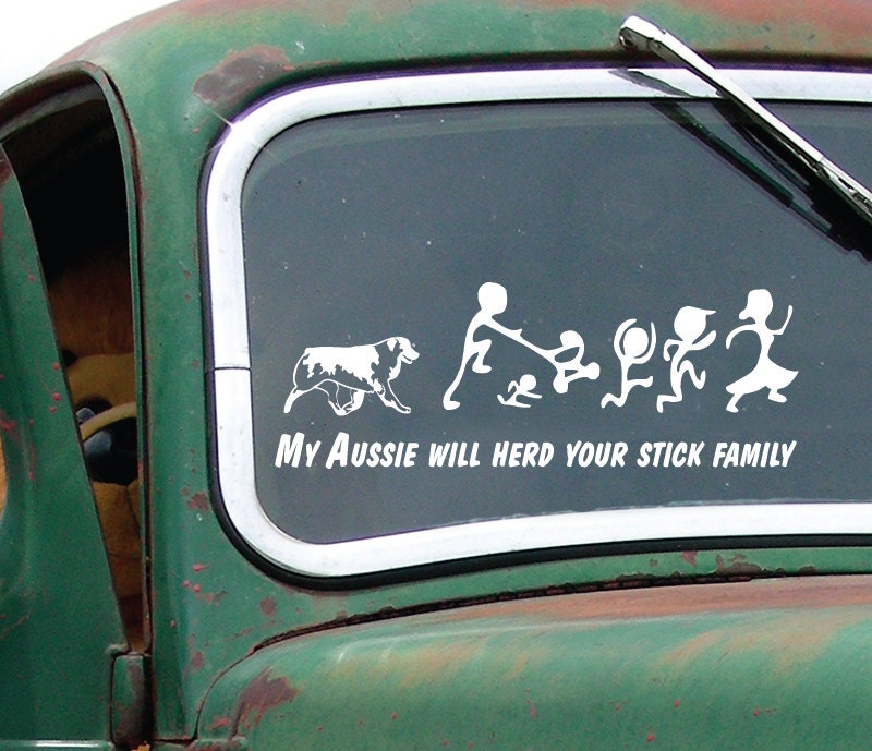 Aussie herds My Aussie will herd your stick family