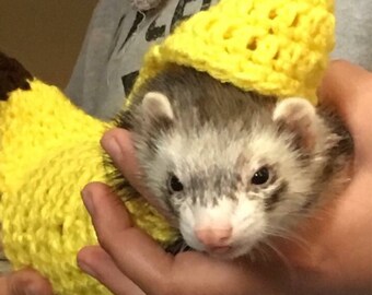 Ferret clothes | Etsy