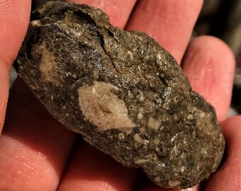 Charlevoix stone | Etsy