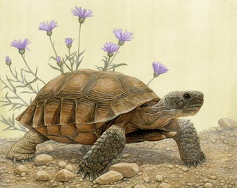 Tortoise painting | Etsy