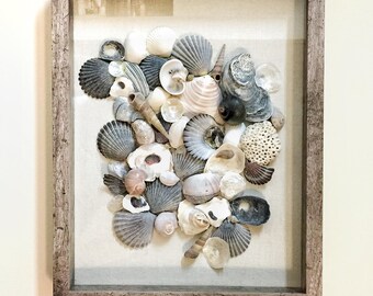 Seashell display box | Etsy