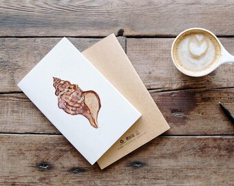 Seashell Watercolor Painting Note Card Set of 4 Seashell