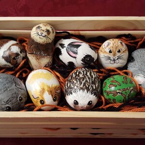 Painted pet rock | Etsy