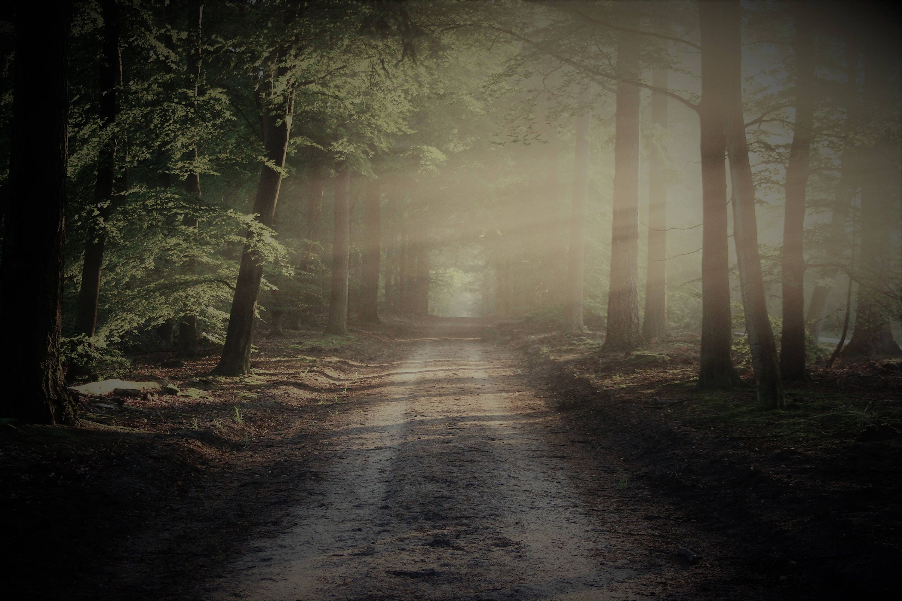 Numérique Photographie fond Photoshop fond photographie fond