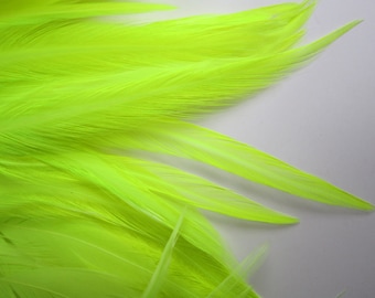 Lime green feathers | Etsy
