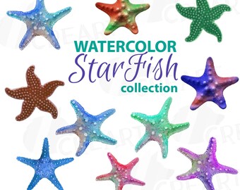 Starfish clip art | Etsy