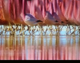 Abstract flamingo | Etsy